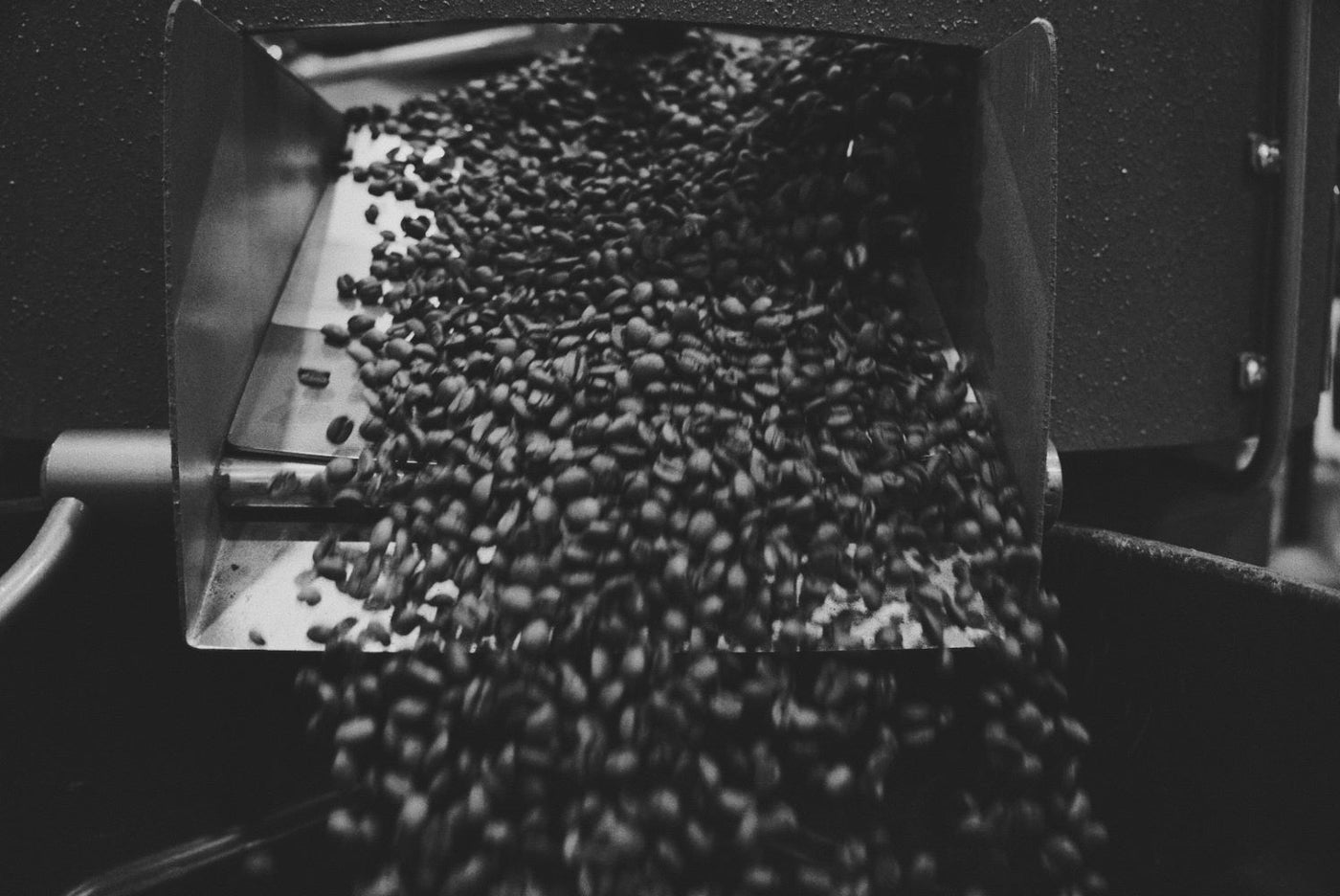 Coffee - Caffè Lusso Coffee Roasters